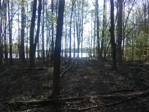 Best Hikes and Trails in Sam Dale Lake State Fish and Wildlife Area ...