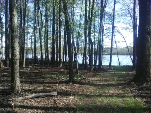 Best Hikes and Trails in Sam Dale Lake State Fish and Wildlife Area ...