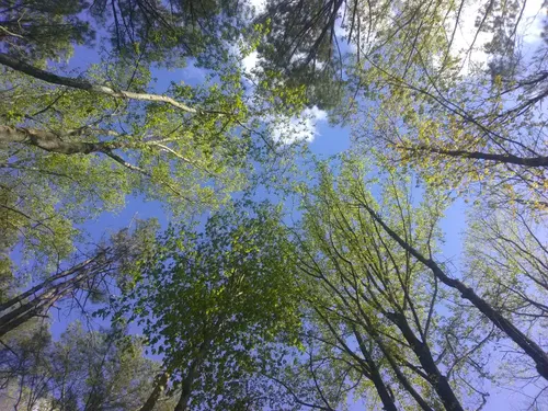 Best Hikes and Trails in Sam Dale Lake State Fish and Wildlife Area ...