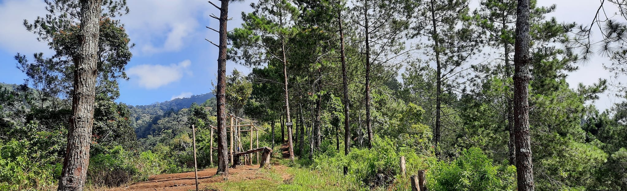 Mount Kerenceng via Sindulang: 5 Reviews, Map - West Java, Indonesia ...