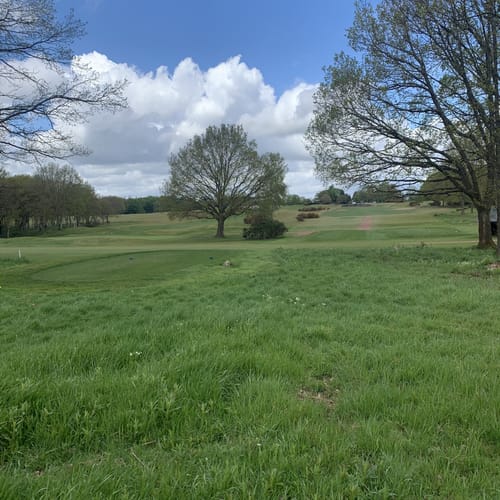 Best Hikes and Trails in Oxhey Woods Local Nature Reserve | AllTrails