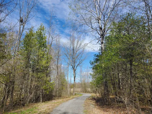 Best Hikes and Trails in Beckwith Park | AllTrails
