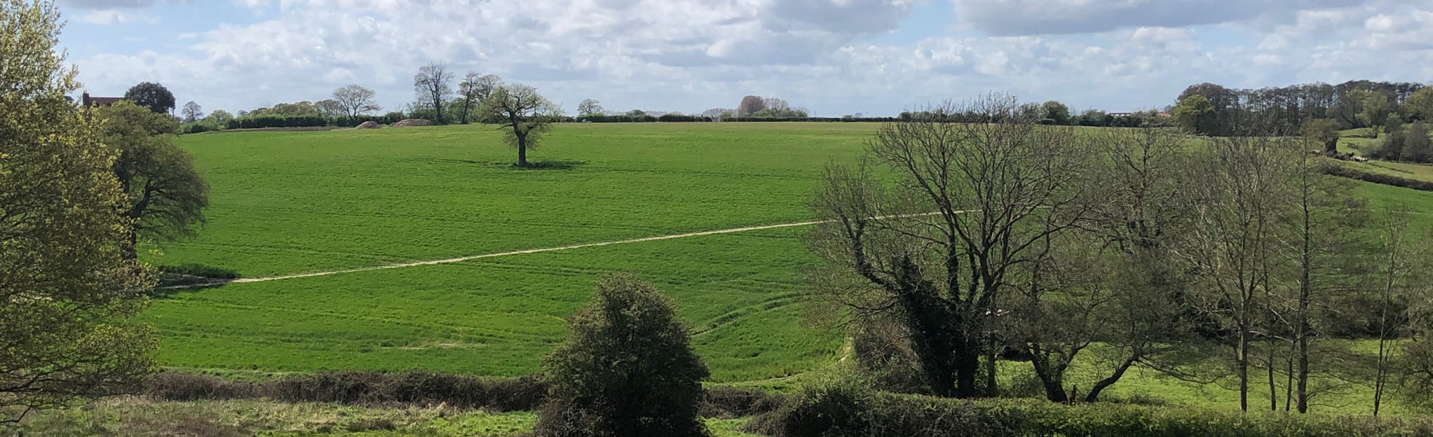 Mistley and Manningtree: 65 Fotos - Essex, Inglaterra | AllTrails