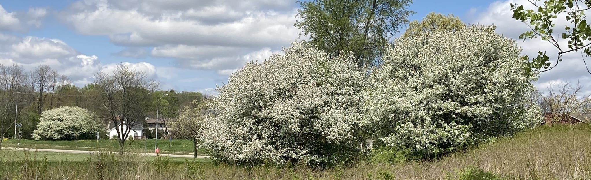 Elver Park Outer Loop: 203 Reviews, Map - Wisconsin | AllTrails