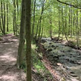 North Chagrin All Purpose Trail, Ohio - 230 Reviews, Map | AllTrails