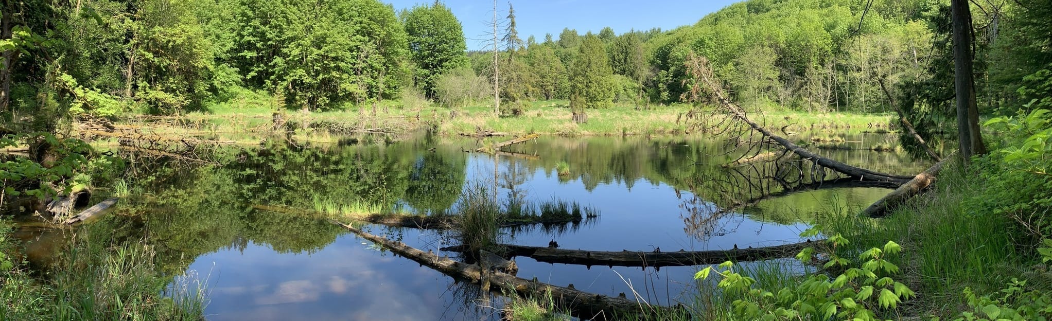 Temple Pond and Quarry Trail Loop, Washington - 113 Reviews, Map ...