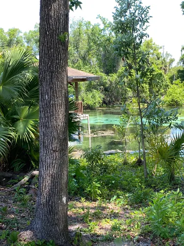 Best Hikes and Trails in Weeki Wachee Springs State Park | AllTrails