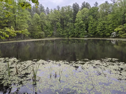 10 Best Hikes and Trails in Charles C. Deam Wilderness | AllTrails