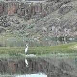 Seep Lakes Wildlife Area Trails, Washington - 33 Reviews, Map | AllTrails