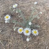 Seep Lakes Wildlife Area Trails, Washington - 33 Reviews, Map | AllTrails