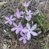 Seep Lakes Wildlife Area Trails, Washington - 33 Reviews, Map | AllTrails