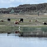 Seep Lakes Wildlife Area Trails, Washington - 33 Reviews, Map | AllTrails