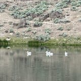 Seep Lakes Wildlife Area Trails, Washington - 33 Reviews, Map | AllTrails