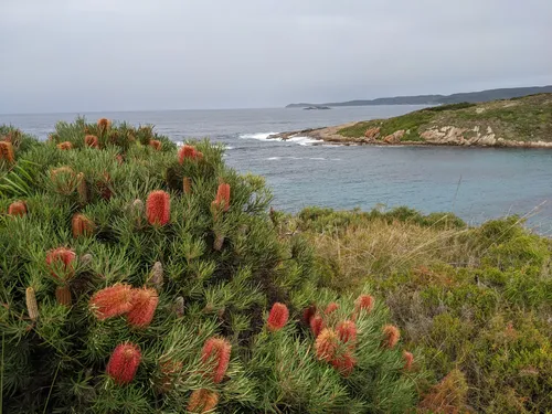 Best Hikes and Trails in West Cape Howe National Park | AllTrails