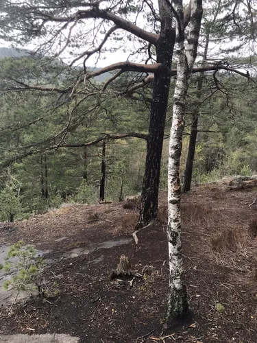 10 Best Hikes and Trails in Nordmarka Forest | AllTrails