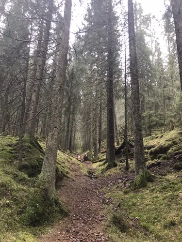 Best 10 Hiking Trails in Nordmarka Forest | AllTrails