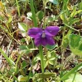 Adams Lake Loop Trail, Ohio - 35 Reviews, Map | AllTrails