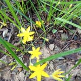 Adams Lake Loop Trail, Ohio - 35 Reviews, Map | AllTrails