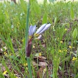 Adams Lake Loop Trail, Ohio - 35 Reviews, Map | AllTrails