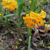 Adams Lake Loop Trail, Ohio - 35 Reviews, Map | AllTrails