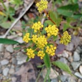 Adams Lake Loop Trail, Ohio - 35 Reviews, Map | AllTrails