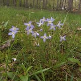 Adams Lake Loop Trail, Ohio - 42 Reviews, Map | AllTrails