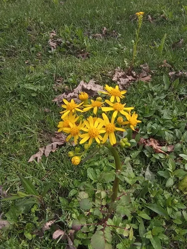 Best Hikes and Trails in Adams Lake State Park | AllTrails