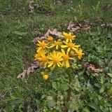 Adams Lake Loop Trail, Ohio - 42 Reviews, Map | AllTrails