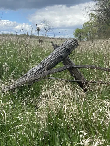 Best Hikes and Trails in Bickford Oak Woods Conservation Reserve ...