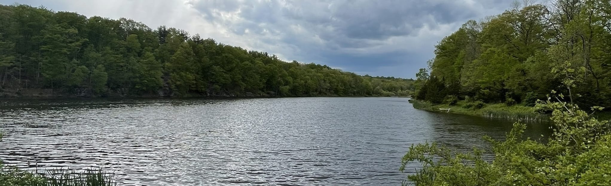 Washington Valley Park Trail: 595 Reviews, Map - New Jersey | AllTrails