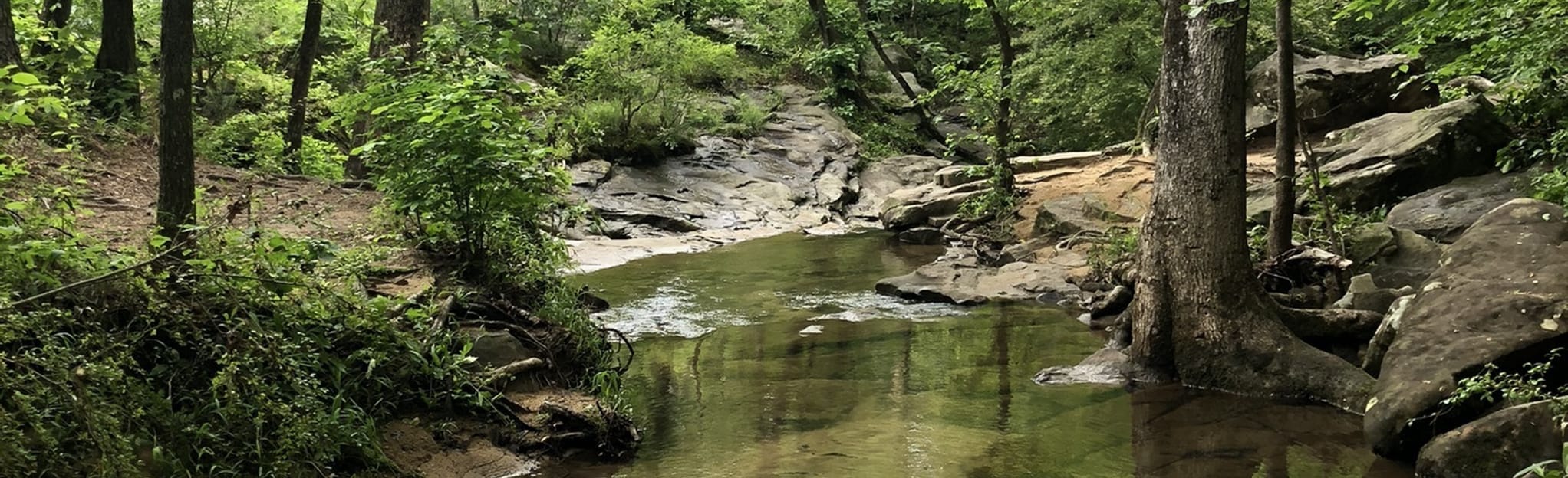 Moss Rock Preserve Trail: 829 Reviews, Map - Alabama | AllTrails