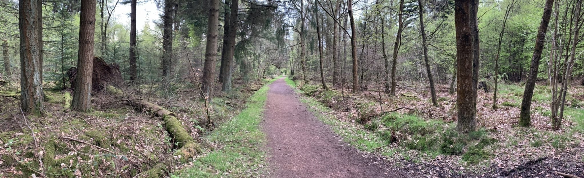 Almond Valley and Five Sisters Zoo Park, West Lothian, Scotland - 31 Reviews, Map | AllTrails