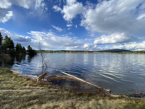 Best Hikes and Trails in 108 Mile Ranch | AllTrails