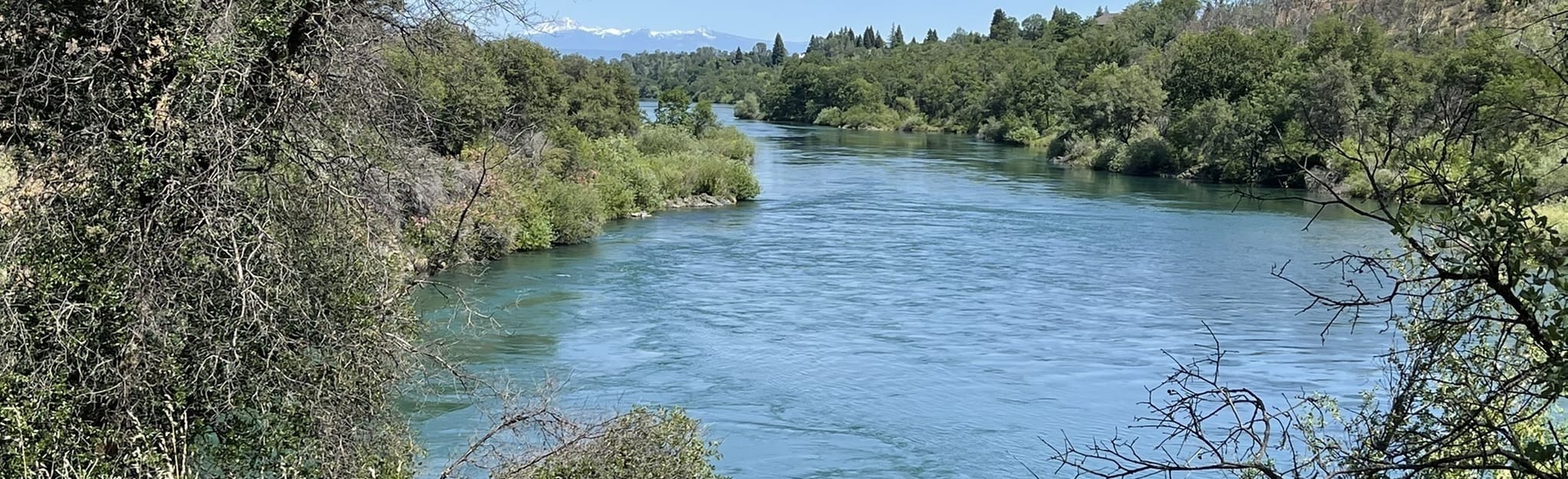 Sacramento River Trail: 1,089 Reviews, Map - California | AllTrails