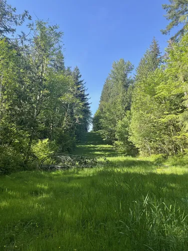 Best Hikes and Trails in Redmond Watershed Preserve | AllTrails