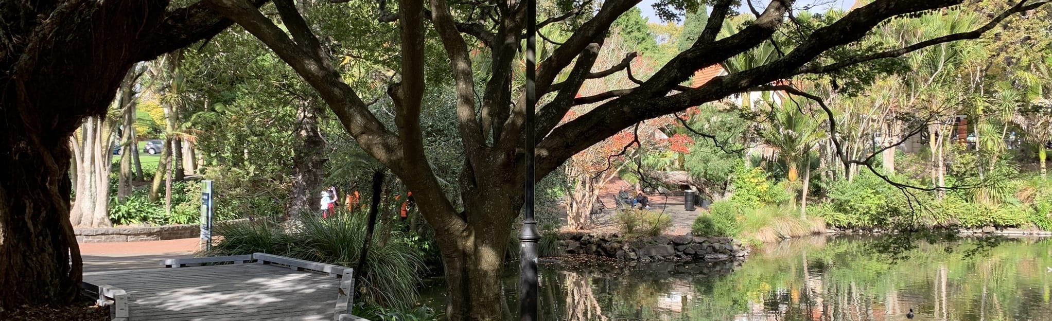 Auckland Domain Loop, Auckland, New Zealand - 125 Reviews, Map | AllTrails