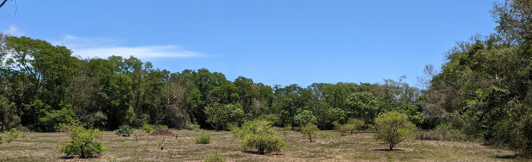 Grove Trail, Florida - 138 Reviews, Map | AllTrails