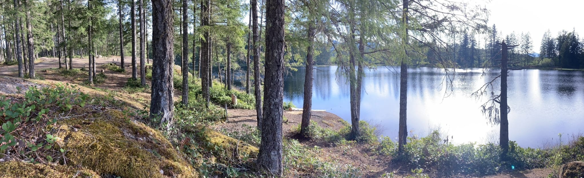 Timberland Lake Loop: 182 Fotos - British Columbia, Kanada | AllTrails