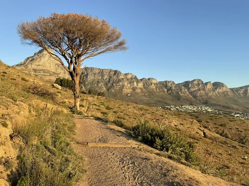 10 Best Kid Friendly Trails in Cape Town | AllTrails