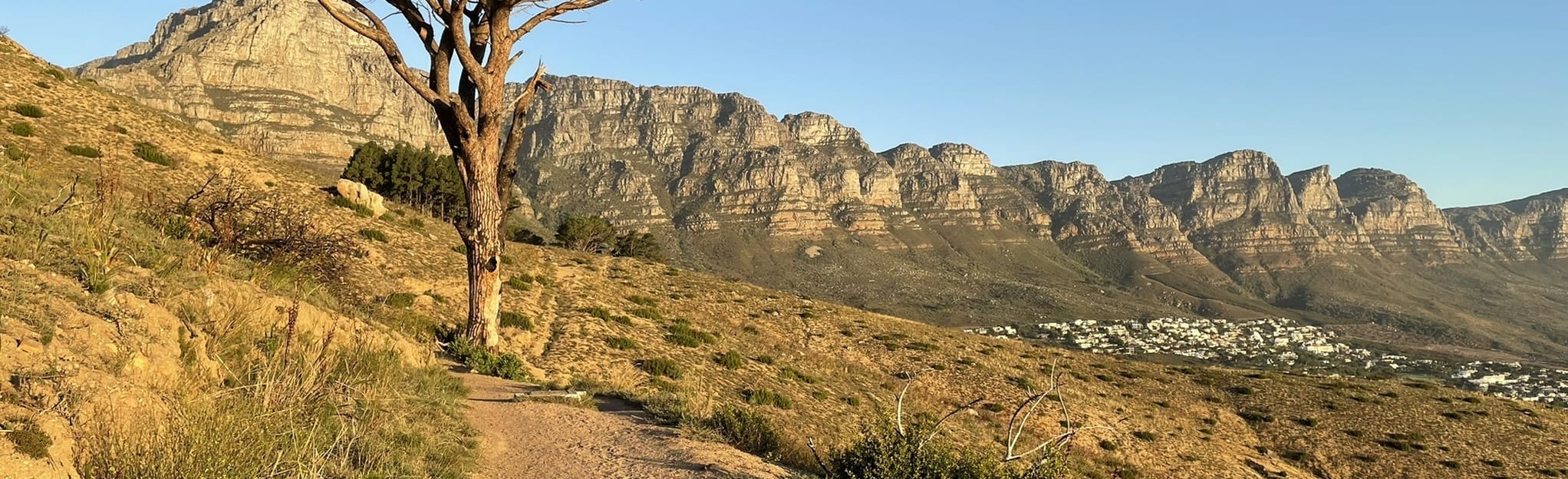 Lions Head Contour Loop, Western Cape, South Africa - 193 Reviews, Map ...