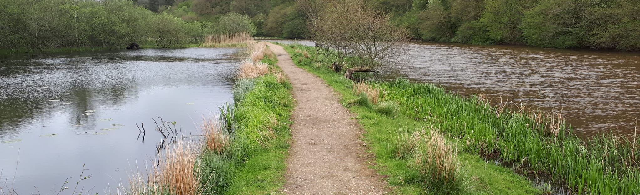 Tvis Mølle - Frøjk Kanoplads: 5 Reviews, Map - Central Denmark, Denmark | AllTrails