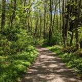Harvey Manning Trail, Washington - 66 Reviews, Map | AllTrails