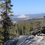 Mono Meadow Trail, California - 90 Reviews, Map | AllTrails