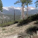 Mono Meadow Trail, California - 90 Reviews, Map | AllTrails