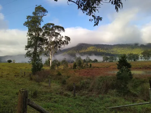 Best Hikes and Trails in Watagan State Forest | AllTrails