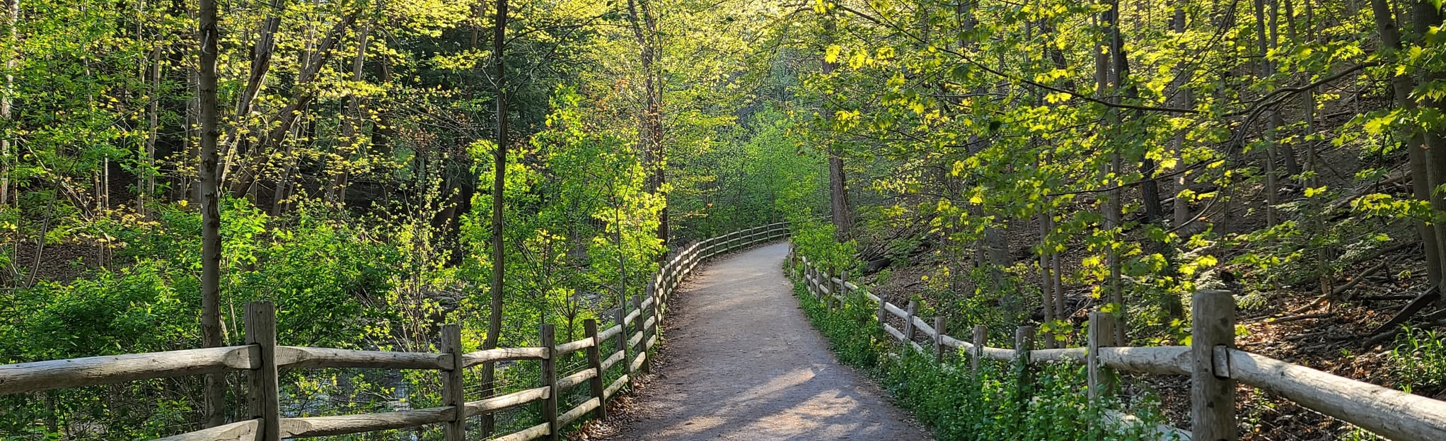 Sunnybrook Dog Park Loop, Ontario, Canada - 236 Reviews, Map | AllTrails