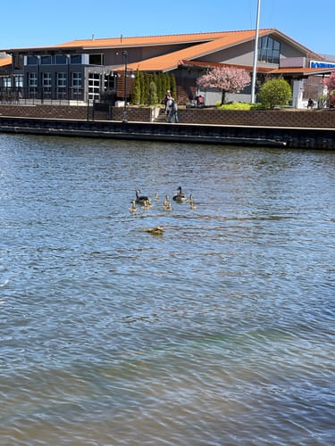 Best Hikes and Trails in Kollen Park | AllTrails