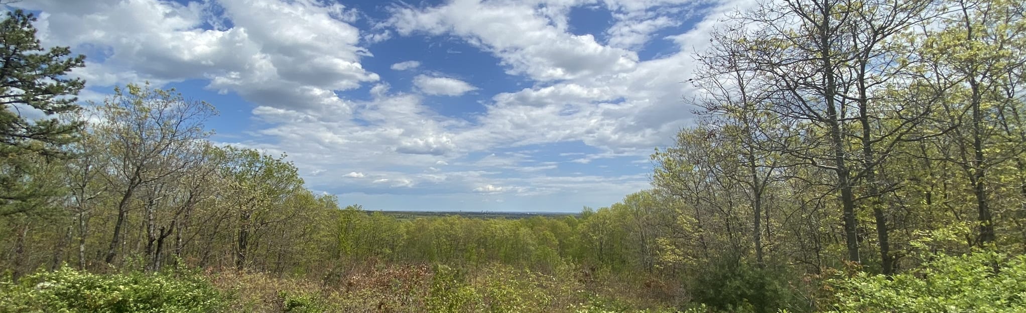 Mercer Trail, Rhode Island - 121 Reviews, Map | AllTrails