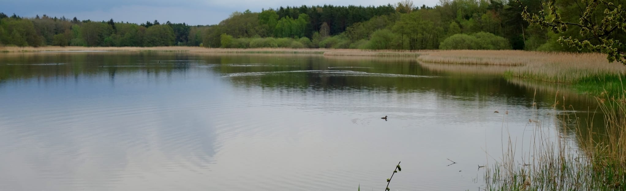 Fränkisches Seenland: Gräfensteinberg - Brombach, Bavaria, Germany ...