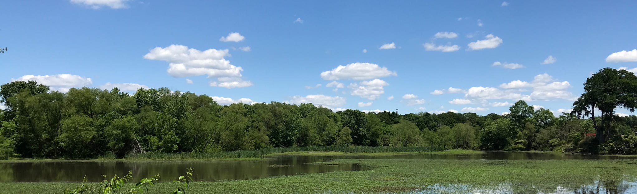 Lake Conestee Nature Trail and Swamp Rabbit Trail, South Carolina - 357 ...